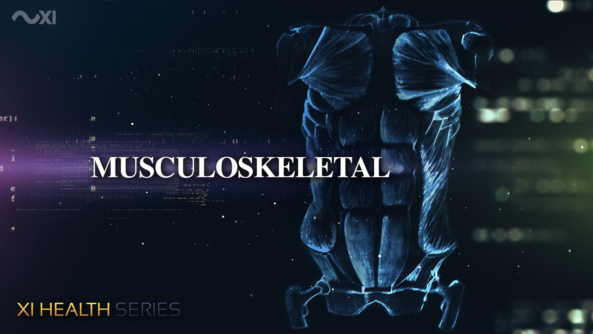 Musculoskeletal Health | XI Health Series | The XI Code