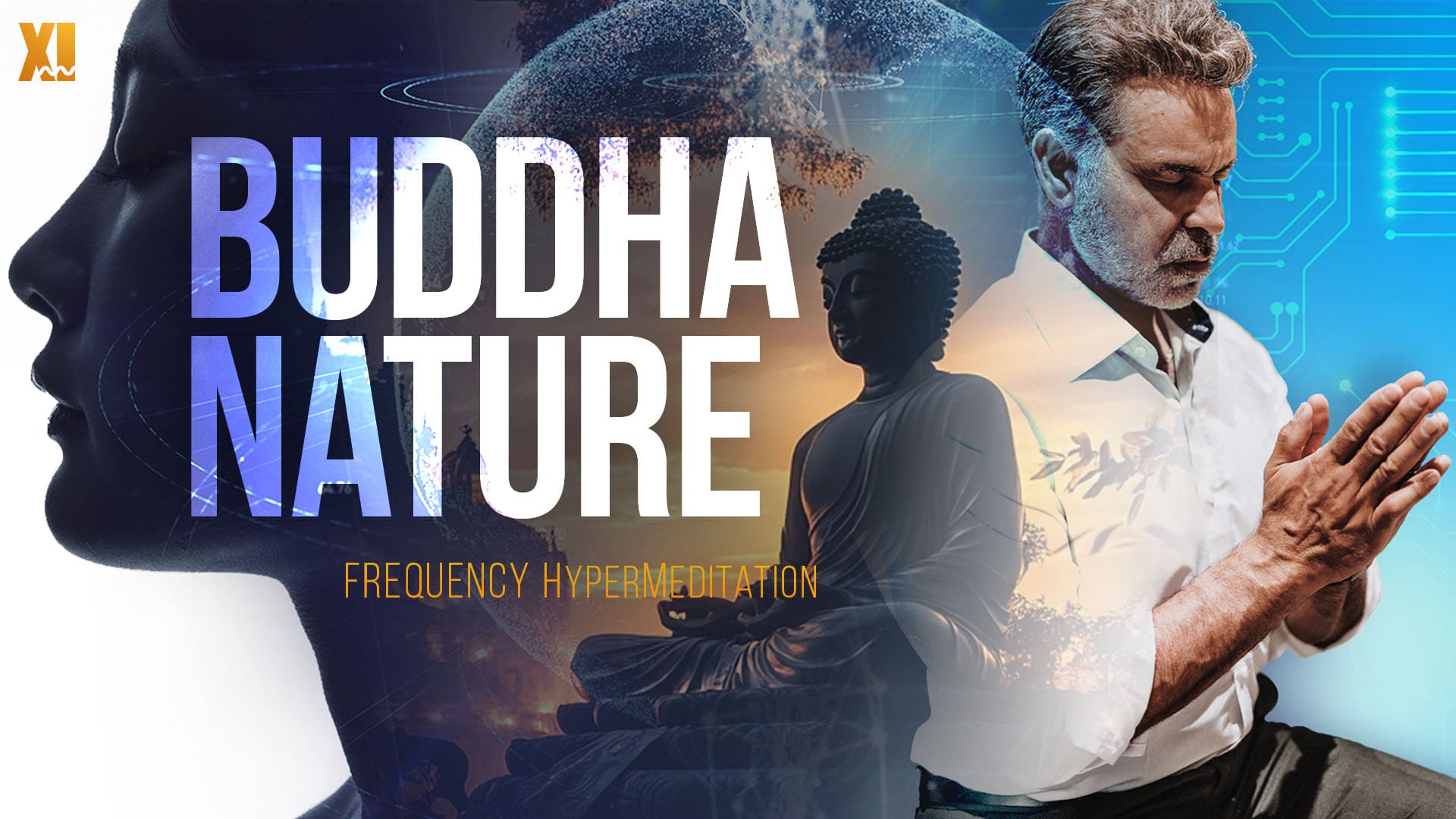 Buddha Nature | World Frequency Session - MOS | The XI Code
