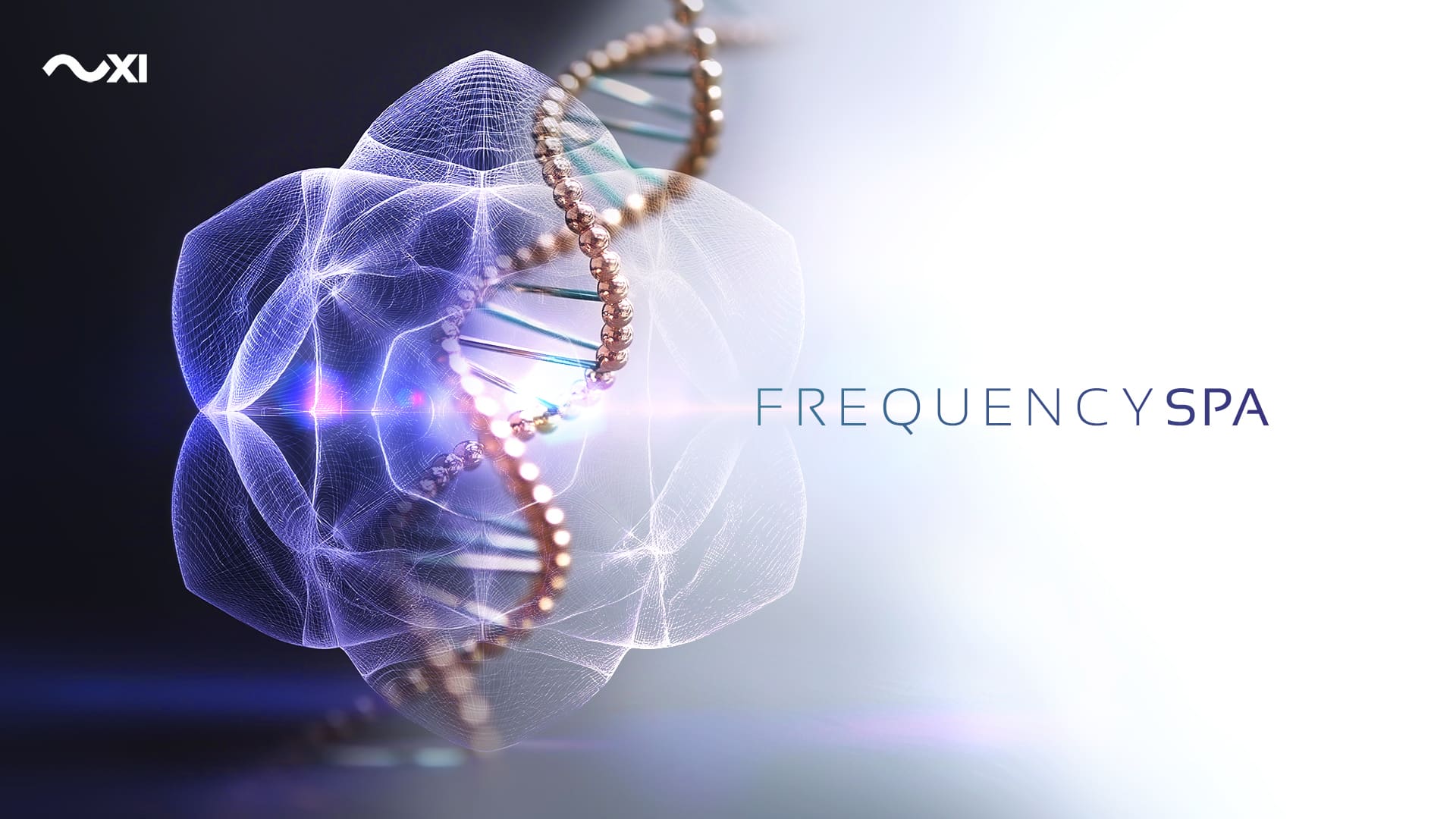 Frequency Spa: August 2026 | The XI Code
