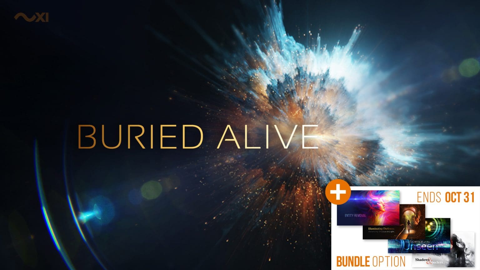 Buried Alive: Exorcism for Undying Distortions | The XI Code